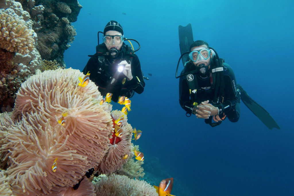Panorama Reef - United Divers Egypt Safaga